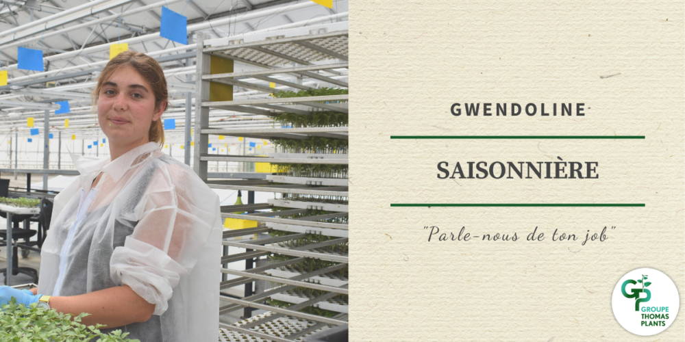 Actualités – Groupe Thomas Plants